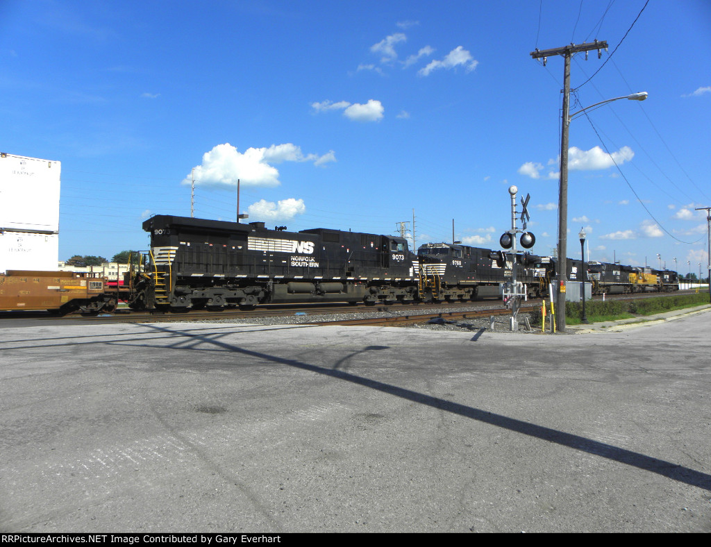 NS 8415, NS 6542, NS 7673, NS 5555, NS 9768, and NS 9073